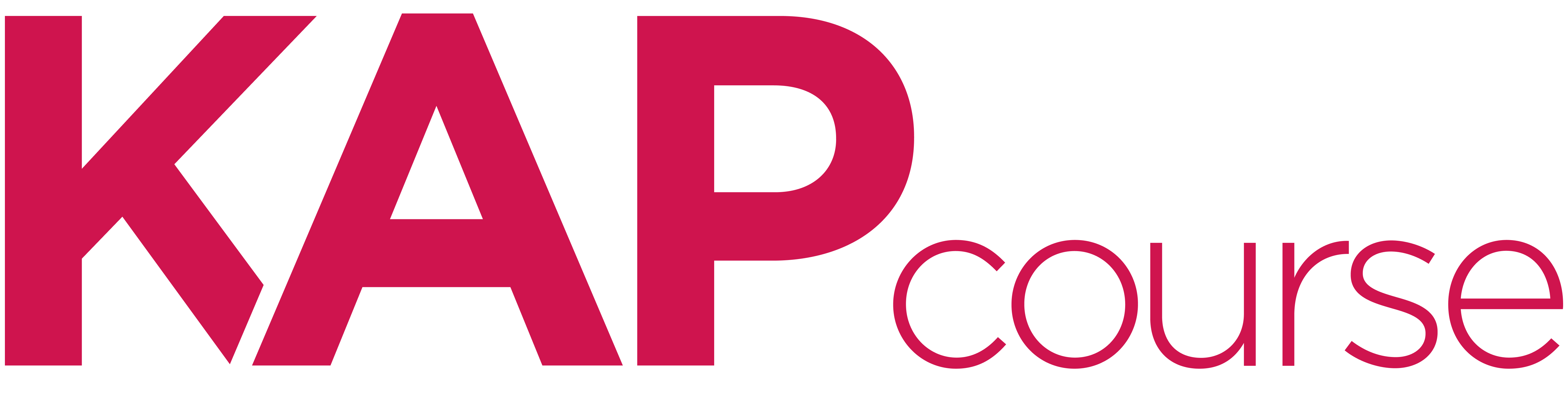 KS-APS - Kosovo Advisory, Products & Systems